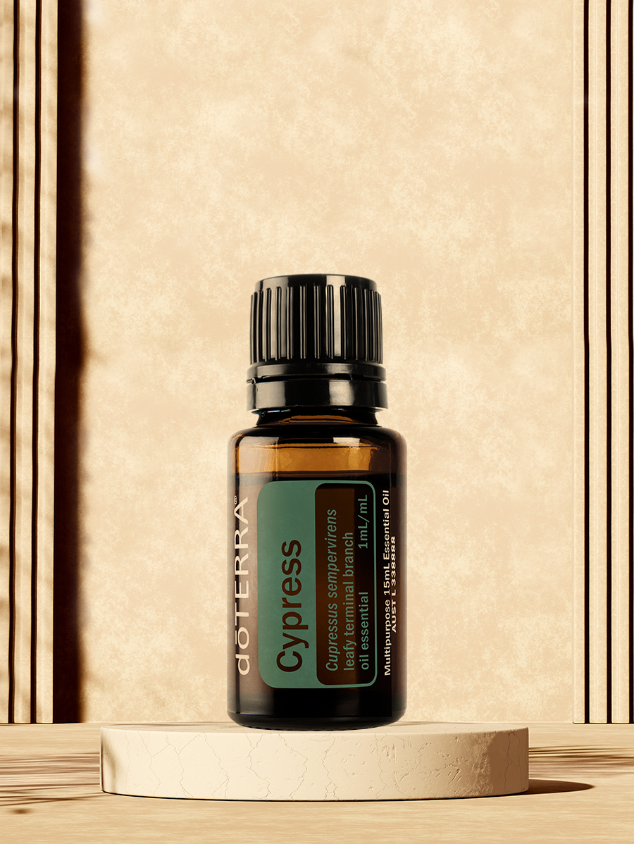 Cypress Oil (Cupressus sempervirens) – Ancient Elementals